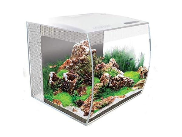 The 7 Best 15-Gallon Fish Tanks of 2024 (Reviews) - FindThisBest