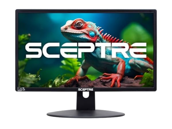 The 10 Best 20 Inch Monitors of 2025 (Reviews) - FindThisBest