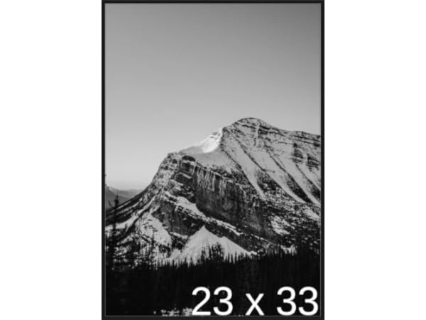 The 3 Best 23 x 33 Inch Poster Frames of 2025 (Reviews) - FindThisBest