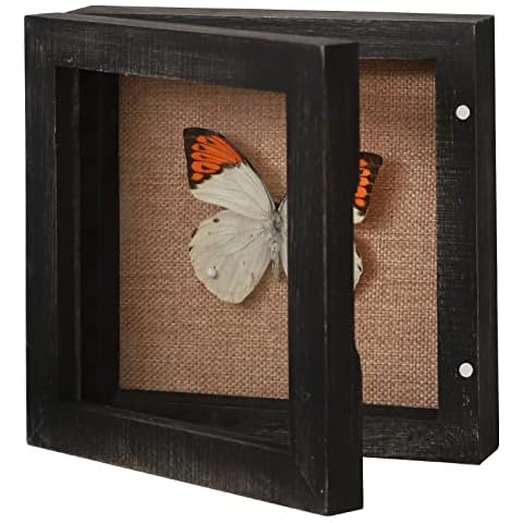 The 9 Best Square Shadow Boxes of 2023 (Reviews) - FindThisBest