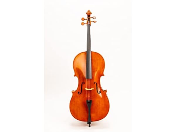 The 10 Best Acoustic Cellos of 2024 (Reviews) - FindThisBest