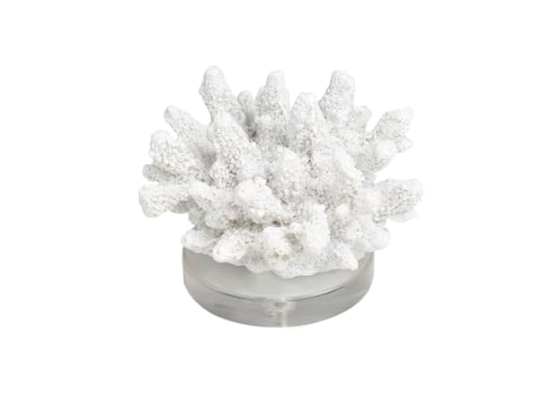 The 10 Best Acrylic Statues of 2025 (Reviews) - FindThisBest