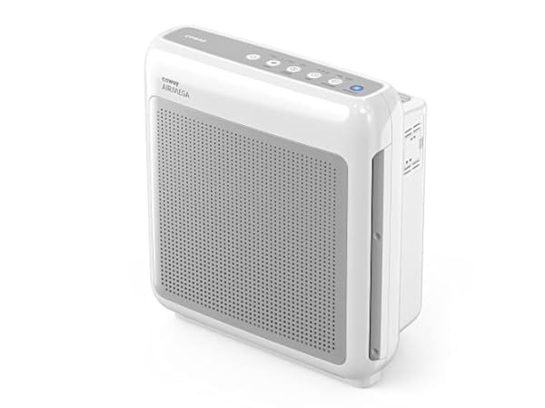 The 10 Best Activated Carbon Air Purifiers of 2024 (Reviews) - FindThisBest