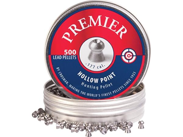 The 10 Best Air Gun Pellets of 2024 (Reviews) - FindThisBest