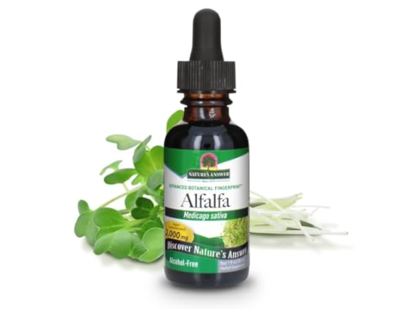 The 7 Best Alfalfa Supplements for Immune Support of 2025 (Reviews ...