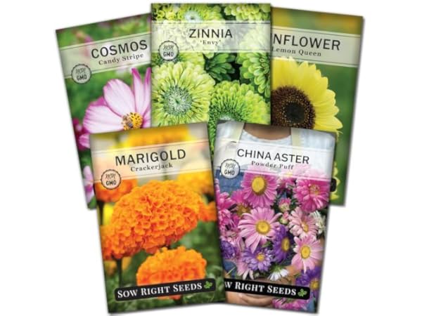 The 10 Best Annual Flower Seeds of 2025 (Reviews) - FindThisBest