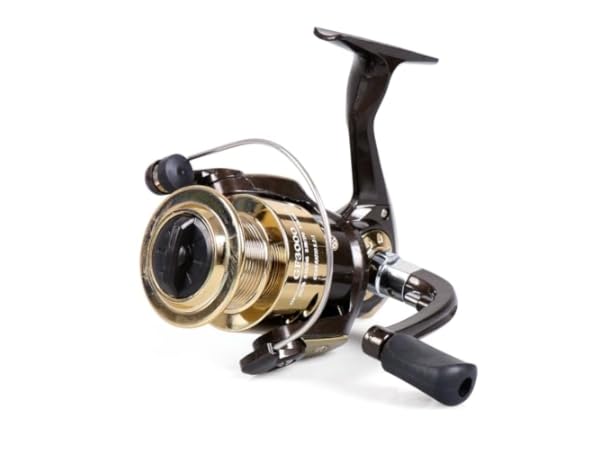 The 10 Best Anti-Reverse Fishing Reels of 2025 (Reviews) - FindThisBest
