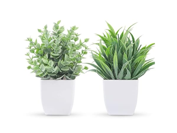 The 10 Best Artificial Plants for Bathroom of 2025 (Reviews) - FindThisBest