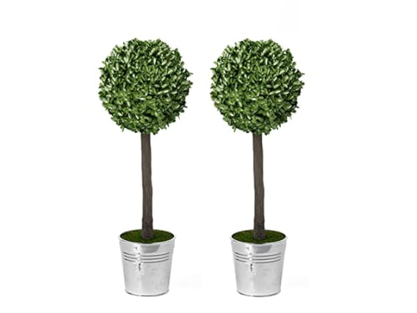 The 10 Best Artificial Topiaries for Living Room of 2024 (Reviews ...