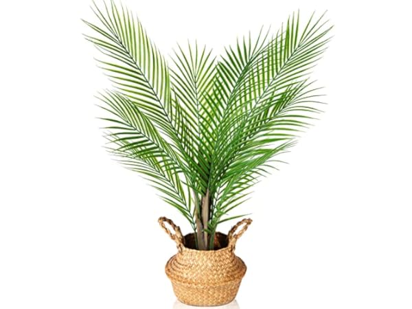 The 10 Best Artificial Trees for Bathroom of 2024 (Reviews) - FindThisBest