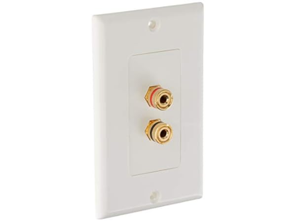 The 10 Best Audio & Video Distribution Wall Connectors of 2024 (Reviews ...