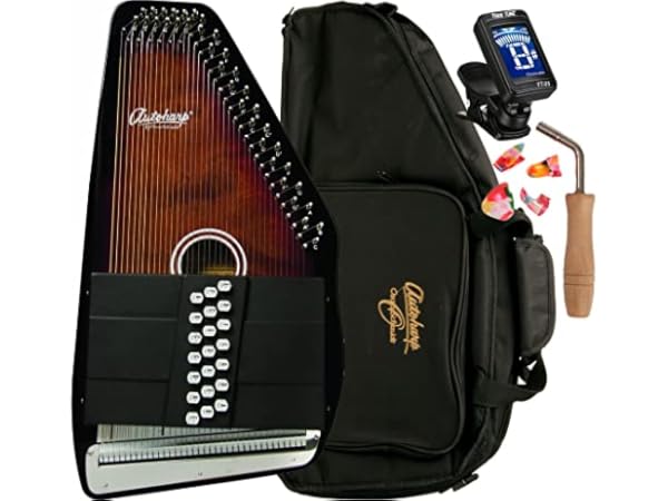 The 10 Best Autoharps of 2024 (Reviews) - FindThisBest