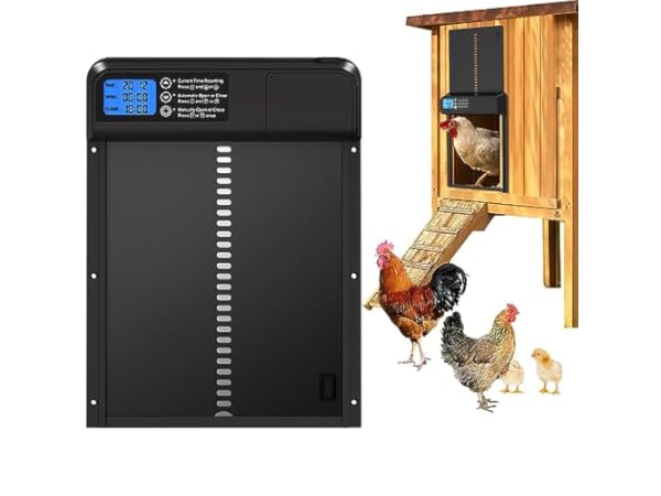 The 10 Best Automatic Chicken Coop Doors of 2024 (Reviews) - FindThisBest