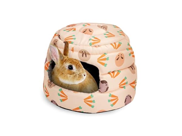 The 10 Best Beds for Degu of 2026 (Reviews) - FindThisBest