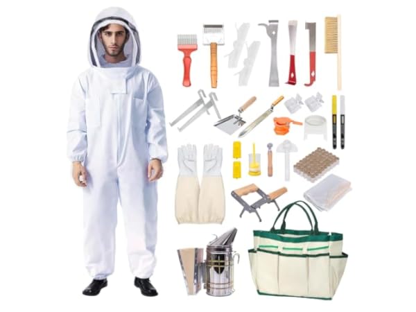 The 10 Best Beekeeping Hive Kits of 2026 (Reviews) - FindThisBest