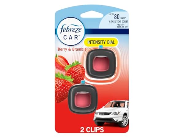 The 10 Best Berry Car Air Fresheners of 2025 (Reviews) - FindThisBest