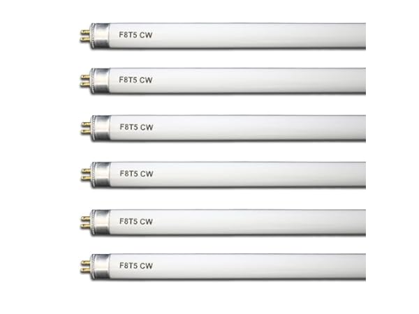 The 10 Best Bi-Pin Fluorescent Light Bulbs of 2024 (Reviews) - FindThisBest