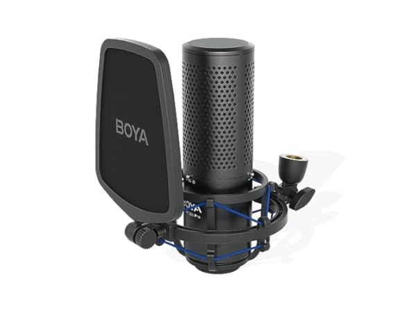 The 10 Best Bidirectional Studio Microphones of 2024 (Reviews ...