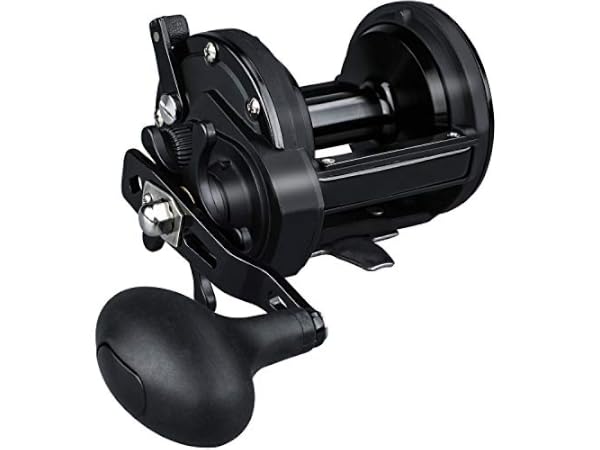 The 10 Best Big Game Fishing Reels of 2025 (Reviews) - FindThisBest