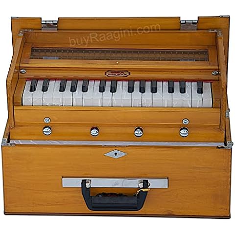 The 8 Best Harmoniums of 2023 (Reviews) - FindThisBest