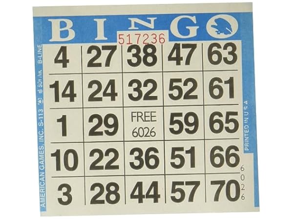 The 10 Best Bingo Cards of 2024 (Reviews) - FindThisBest