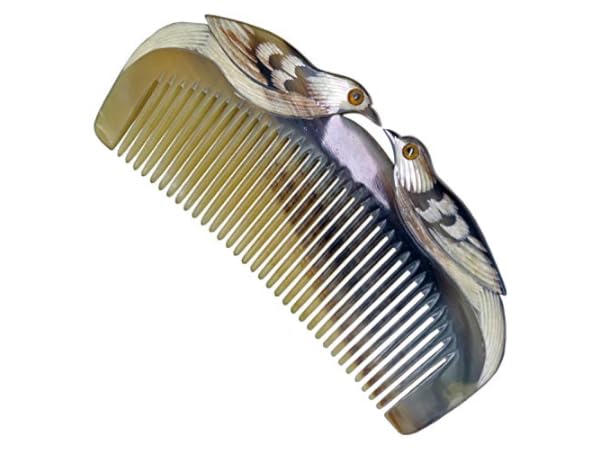 The 5 Best Bird Hair Combs of 2024 (Reviews) - FindThisBest