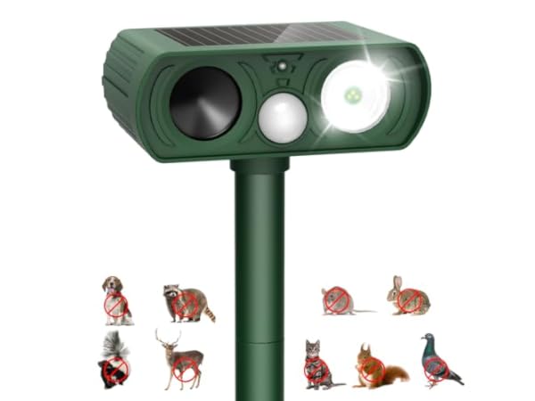 The 10 Best Bird Repellents of 2025 (Reviews) - FindThisBest