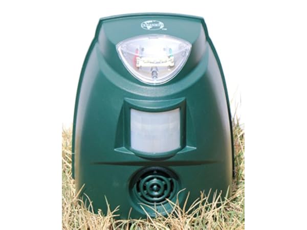 The 10 Best Bird Ultrasonic Repellers of 2025 (Reviews) - FindThisBest