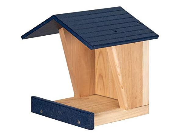 The 10 Best Birdhouses for Robins of 2023 (Reviews) - FindThisBest