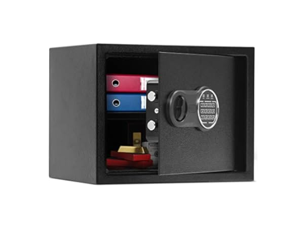 The 7 Best Bolt Down Cabinet Safes of 2024 (Reviews) - FindThisBest