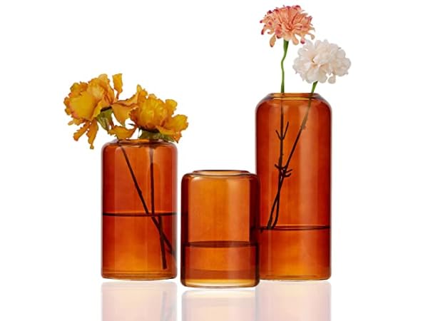 The 10 Best Borosilicate Glass Vases of 2024 (Reviews) - FindThisBest