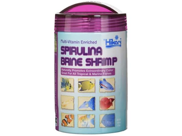 The 10 Best Brine Fish Food of 2024 (Reviews) - FindThisBest