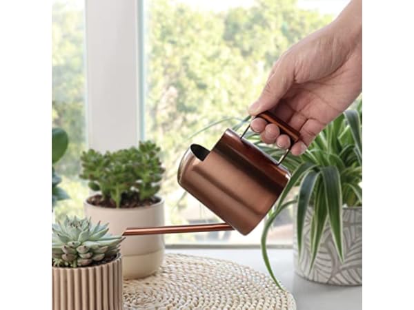 The 6 Best Bronze Watering Cans of 2025 (Reviews) - FindThisBest