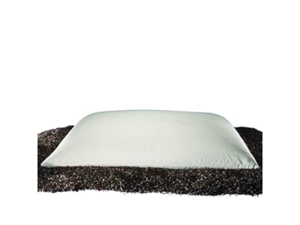 The 10 Best Buckwheat Bed Pillows of 2025 (Reviews) - FindThisBest
