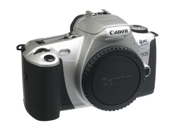 The 10 Best Built-in Flash SLR Film Cameras of 2025 (Reviews ...