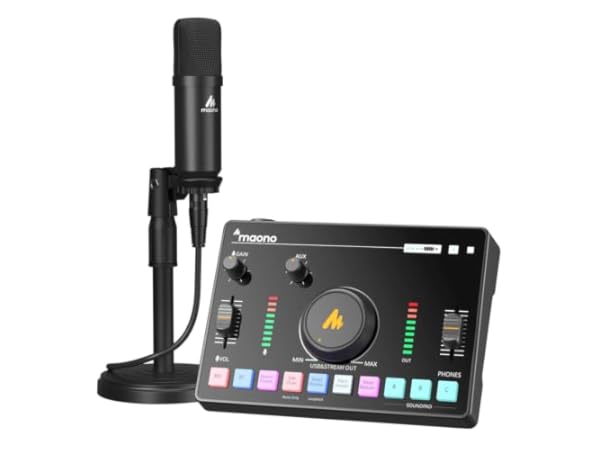 The 3 Best Built-in Microphone Audio Interfaces of 2025 (Reviews ...