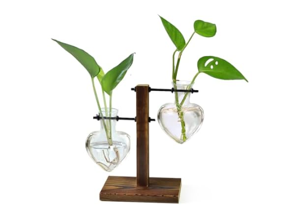 The 10 Best Bulb Glass Vases of 2026 (Reviews) - FindThisBest