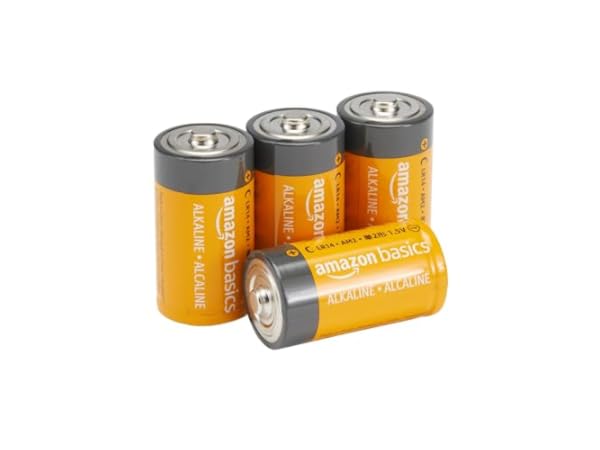 The 10 Best C Batteries of 2026 (Reviews) - FindThisBest
