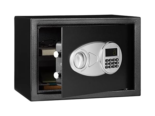 The 10 Best Cabinet Safes with Lock of 2025 (Reviews) - FindThisBest