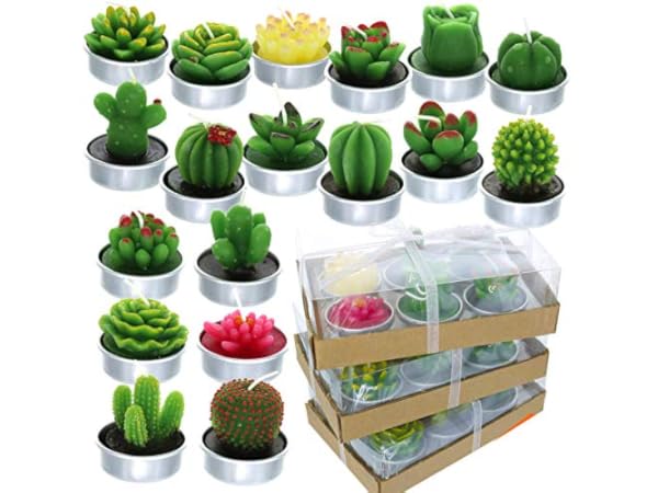 The 10 Best Cactus Tea Lights of 2025 (Reviews) - FindThisBest