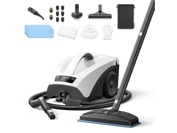 The 3 Best Canister Steam Cleaners of 2026 (Reviews) - FindThisBest