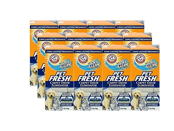 The 4 Best Carpet Deodorizers of 2024 (Reviews) - FindThisBest