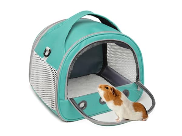 The 10 Best Carriers for Ferret of 2024 (Reviews) - FindThisBest
