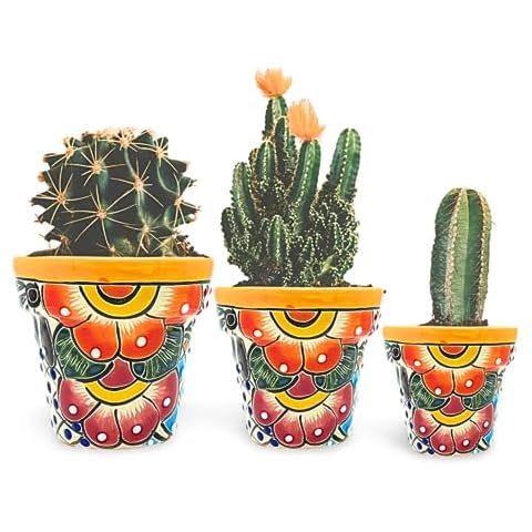 Casa Fiesta Designs Review of 2024 - Home & Kitchen Brand - FindThisBest