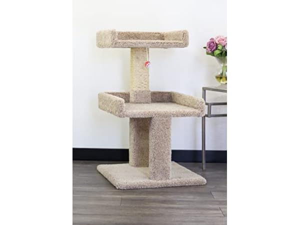 The 10 Best Cat Condos of 2024 (Reviews) - FindThisBest