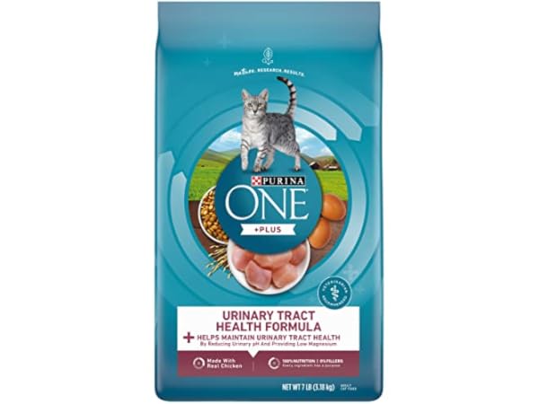 The 9 Best Cat Food for Urinary Tract Health of 2024 (Reviews ...