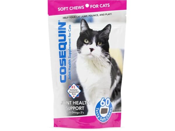 The 10 Best Cat Hip & Joint Care of 2024 (Reviews) - FindThisBest