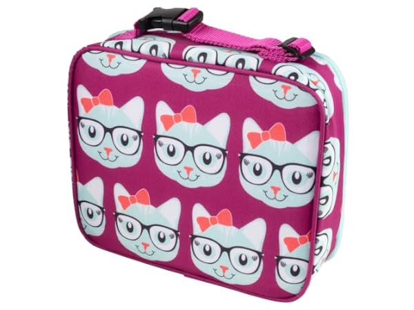 The 10 Best Cat Lunch Boxes of 2026 (Reviews) - FindThisBest
