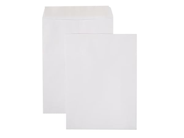 The 10 Best Catalog Mailing Envelopes of 2024 (Reviews) - FindThisBest