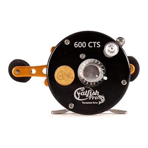 The 10 Best Catfish Baitcasting Fishing Reels of 2024 (Reviews ...